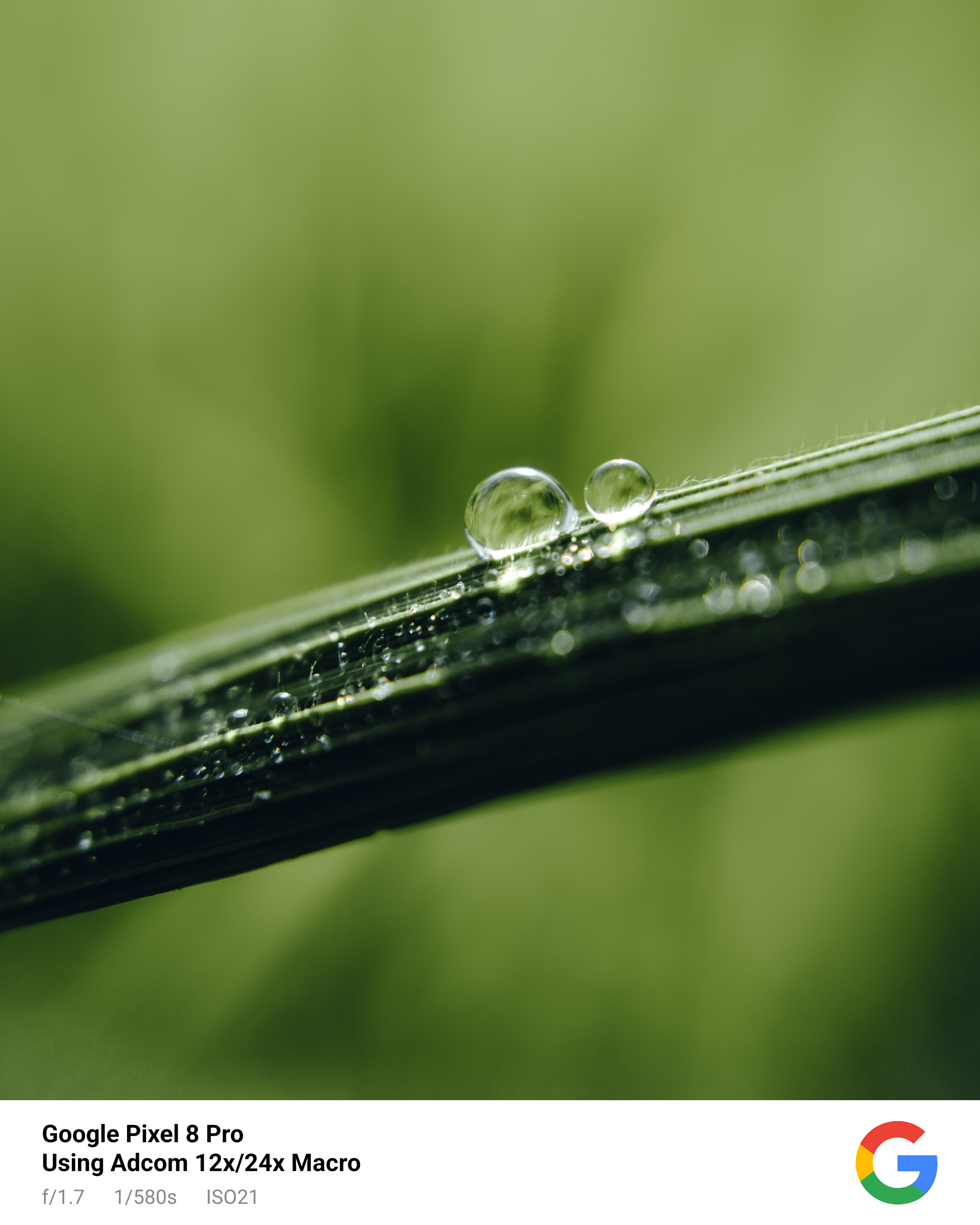 12x/24x Macro Mobile Phone Camera Lens with Lens Hood (Black) | Adcom ...