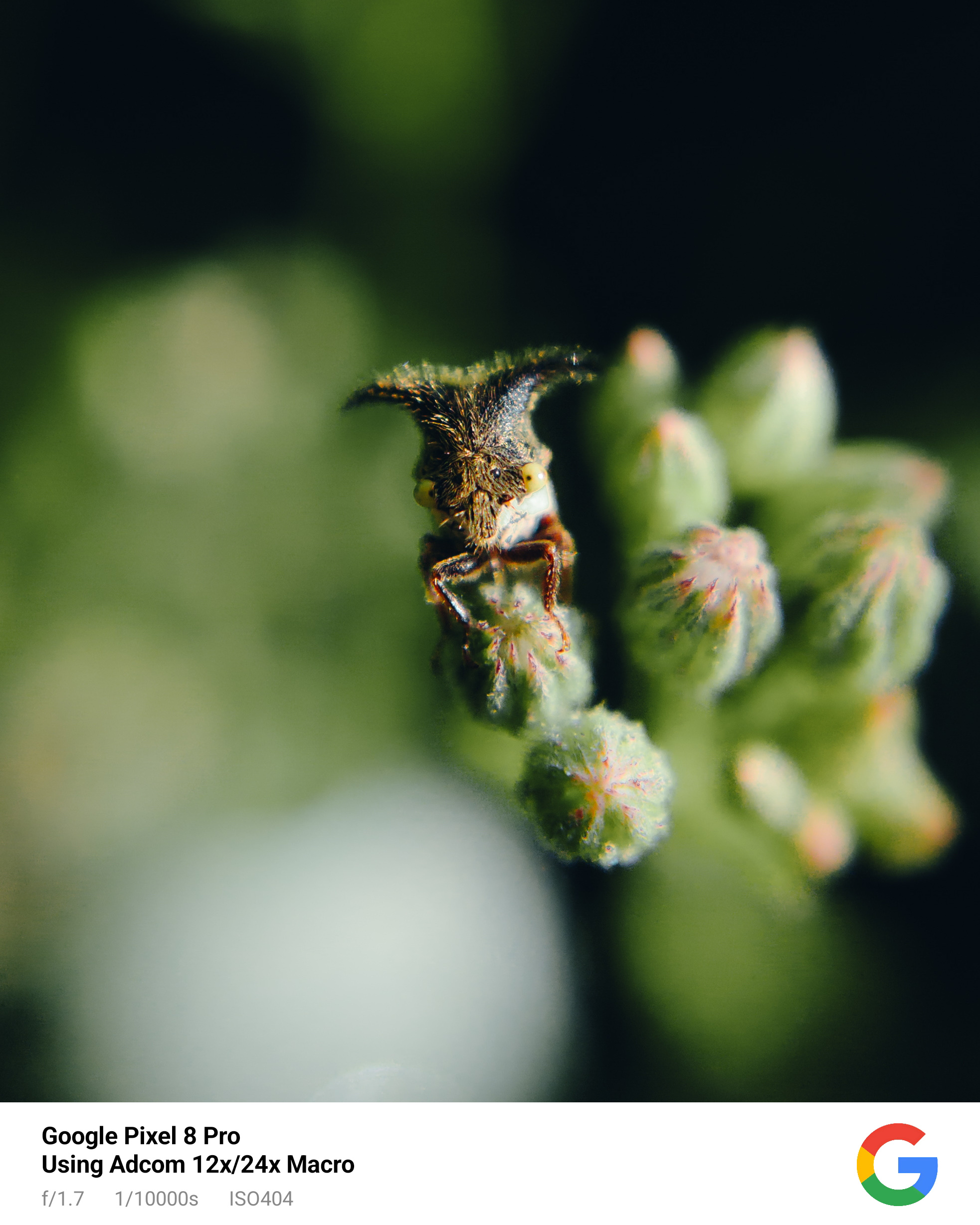 12x/24x Macro Mobile Phone Camera Lens with Lens Hood (Black) | Adcom ...