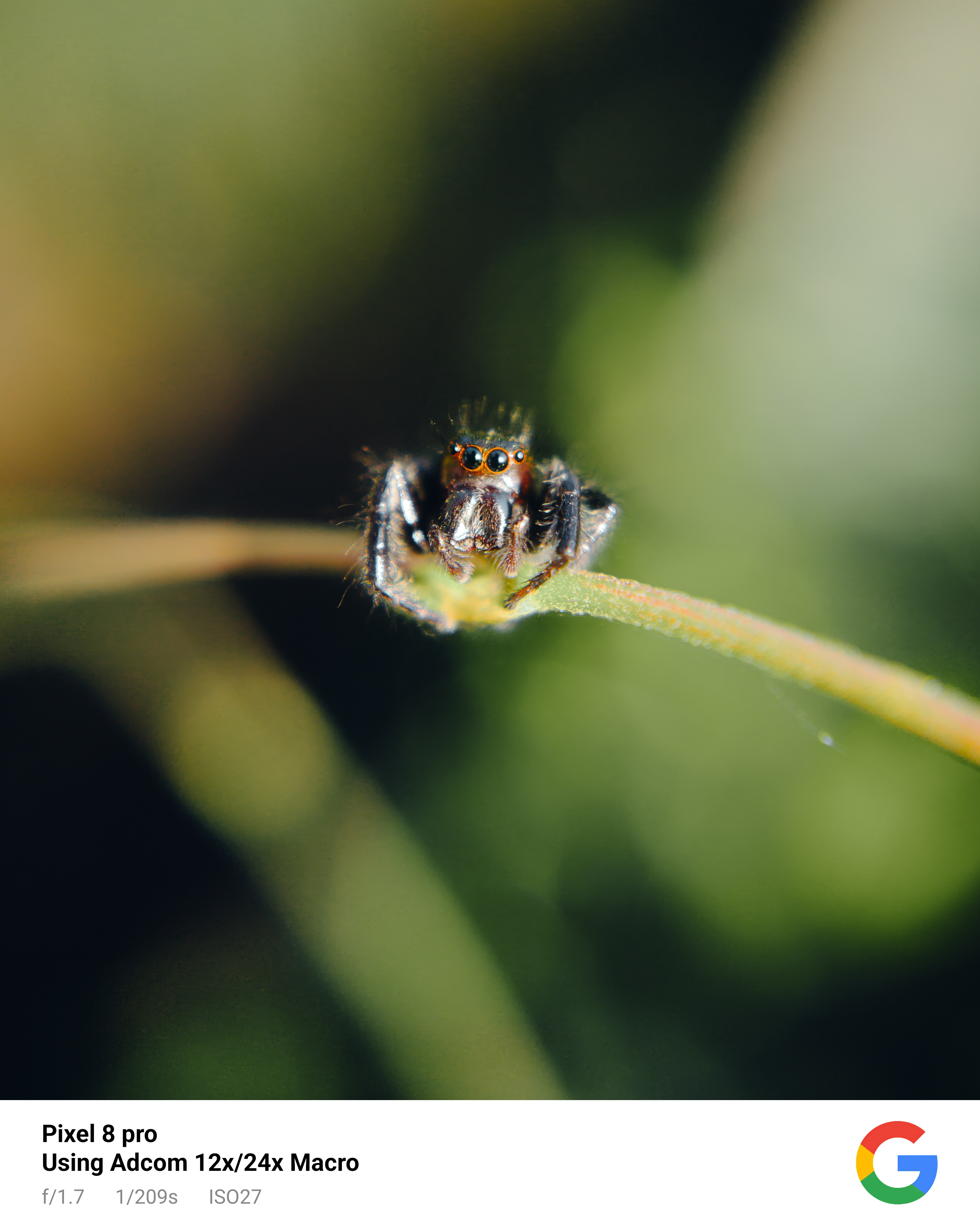 12x/24x Macro Mobile Phone Camera Lens with Lens Hood (Black) | Adcom ...