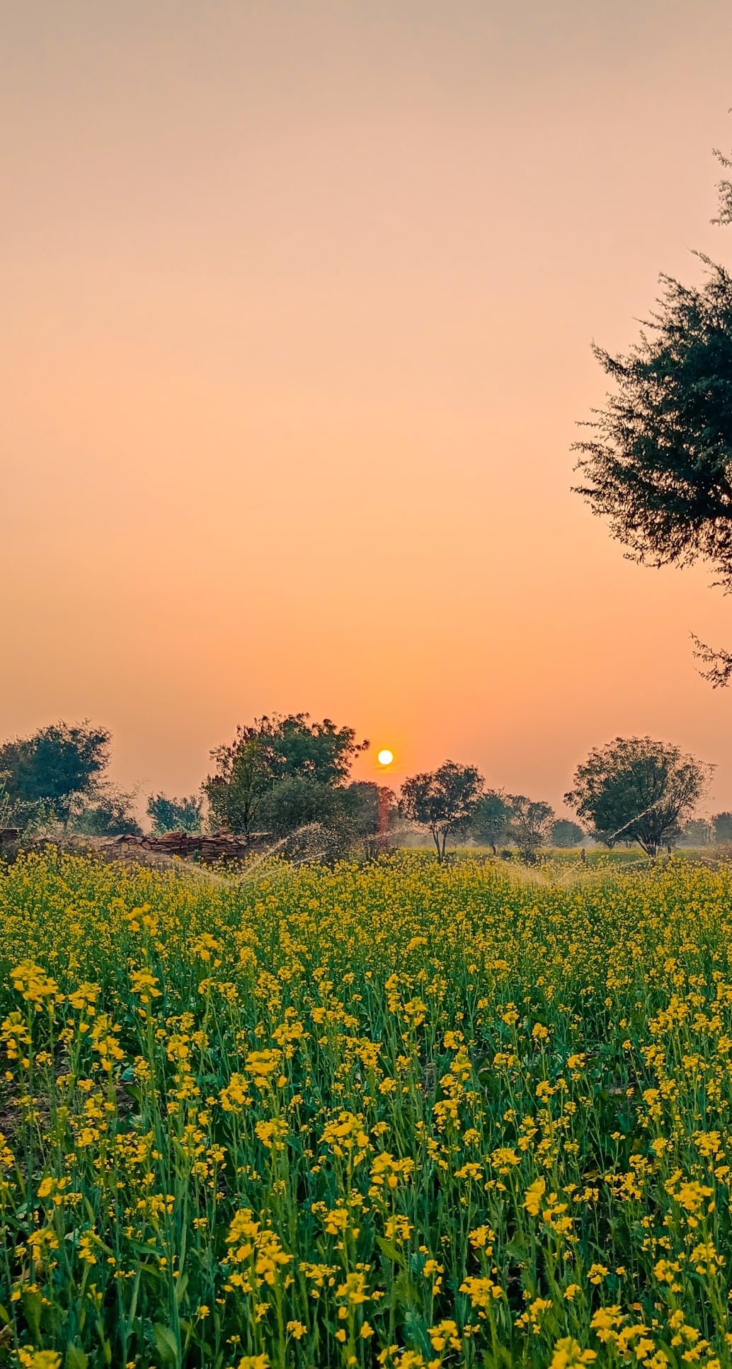 Adcom CPL Filter Mobile Phone Camera Lens | Adcom India :)